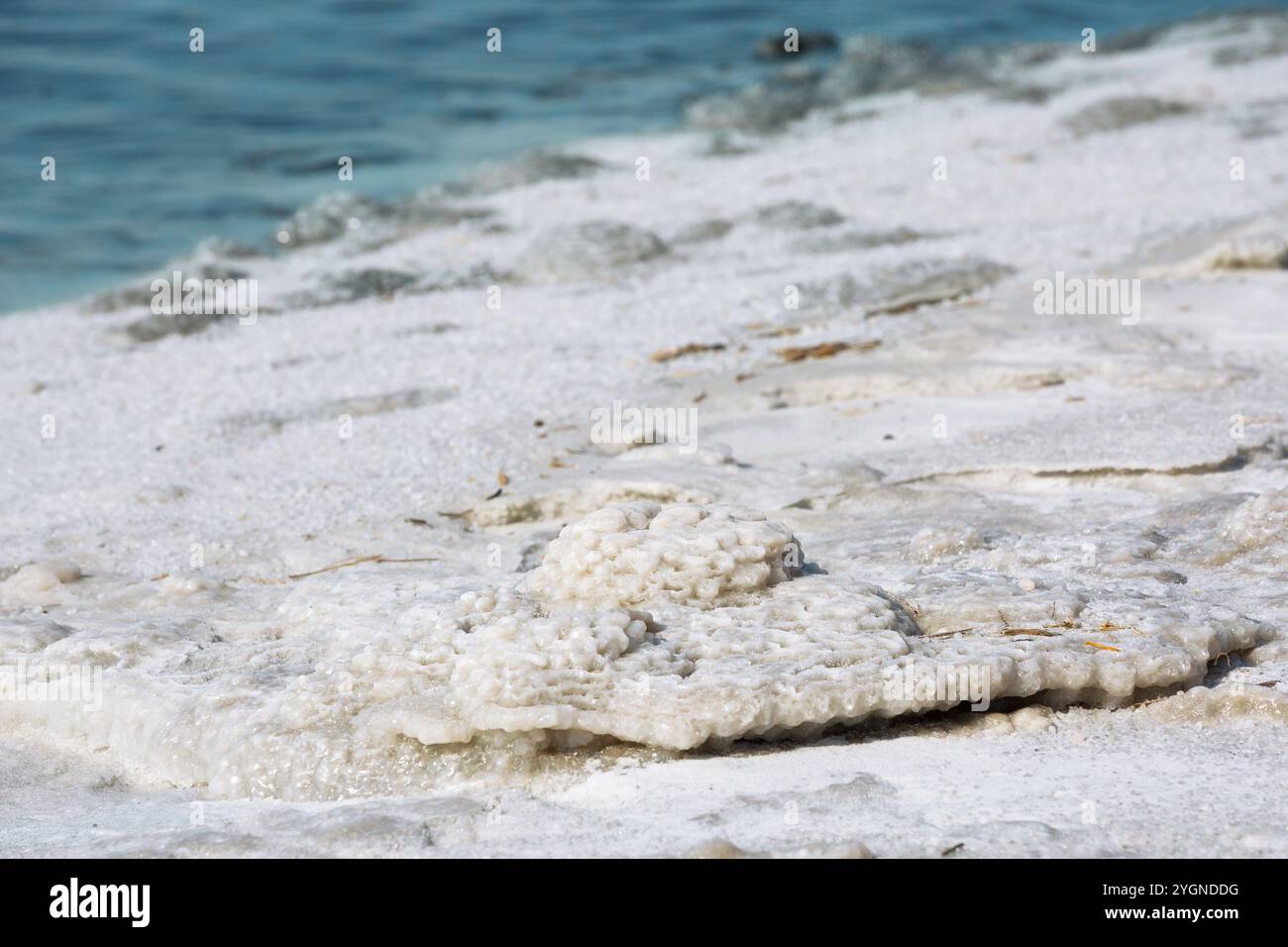 Close view salt crystals dead hi-res stock photography and images - Alamy