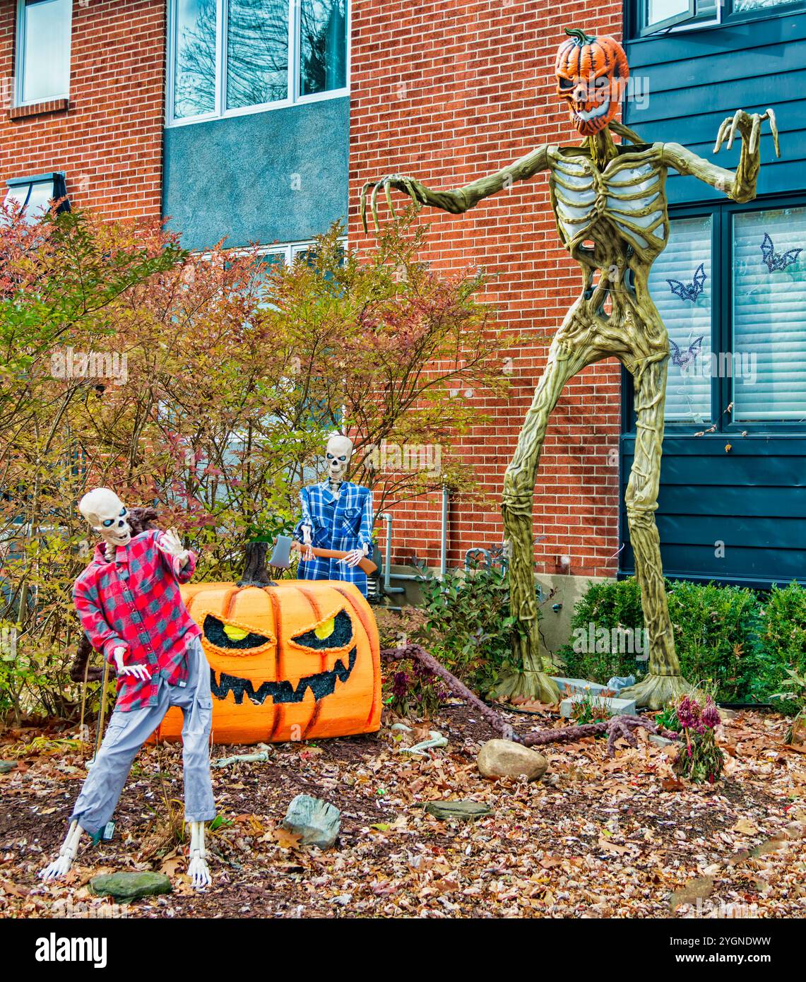 Montreal scenes 2024 hi-res stock photography and images - Alamy