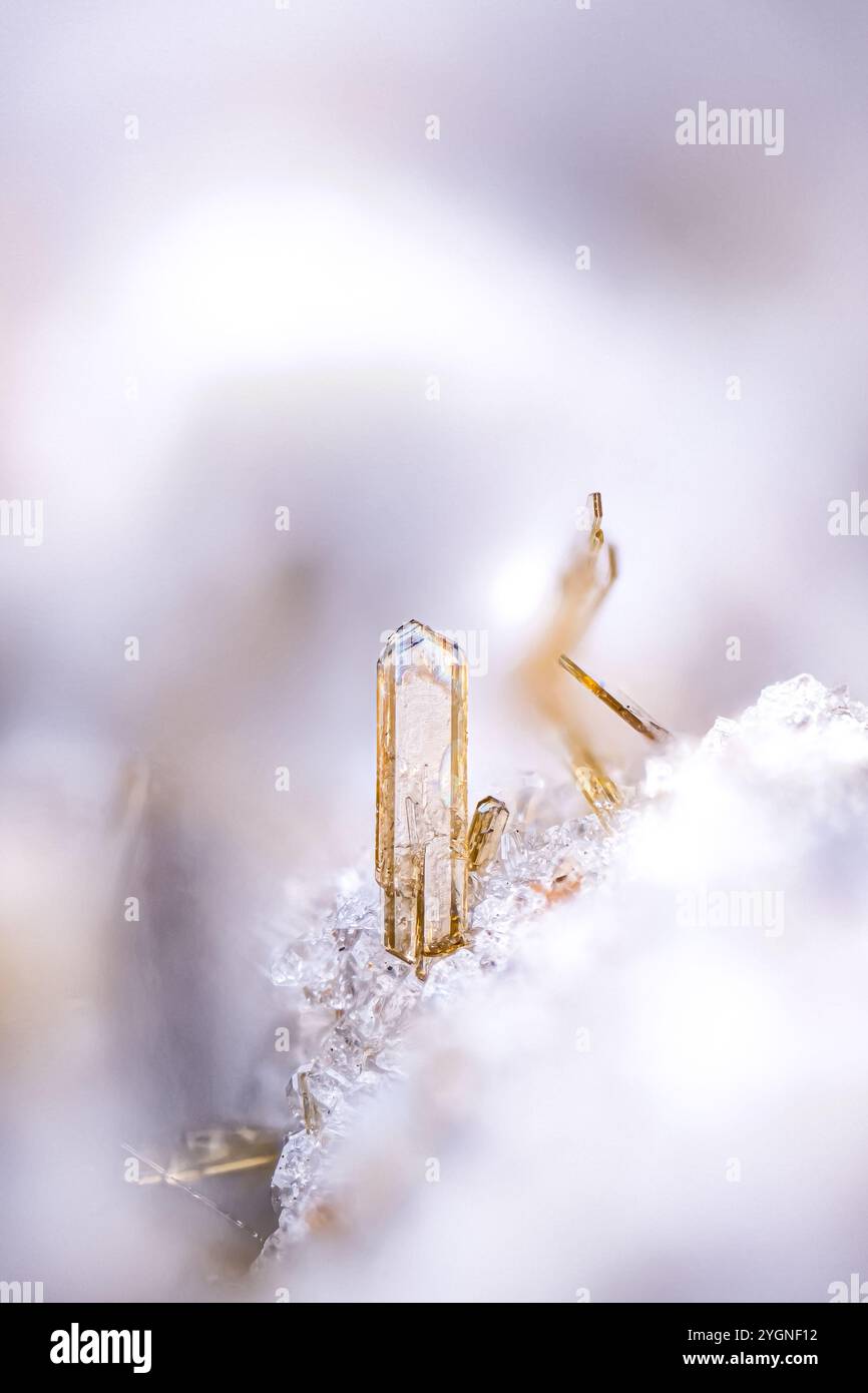 Enstatite on Tridymite. Specimen from La Ajorra, Spain. Micro ...