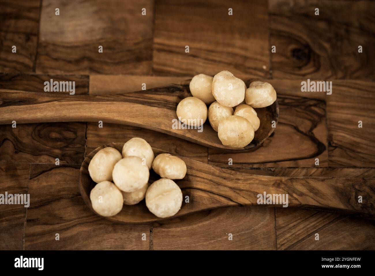 Macadamia nuts Macadamia tetraphylla on olive wood Stock Photo - Alamy