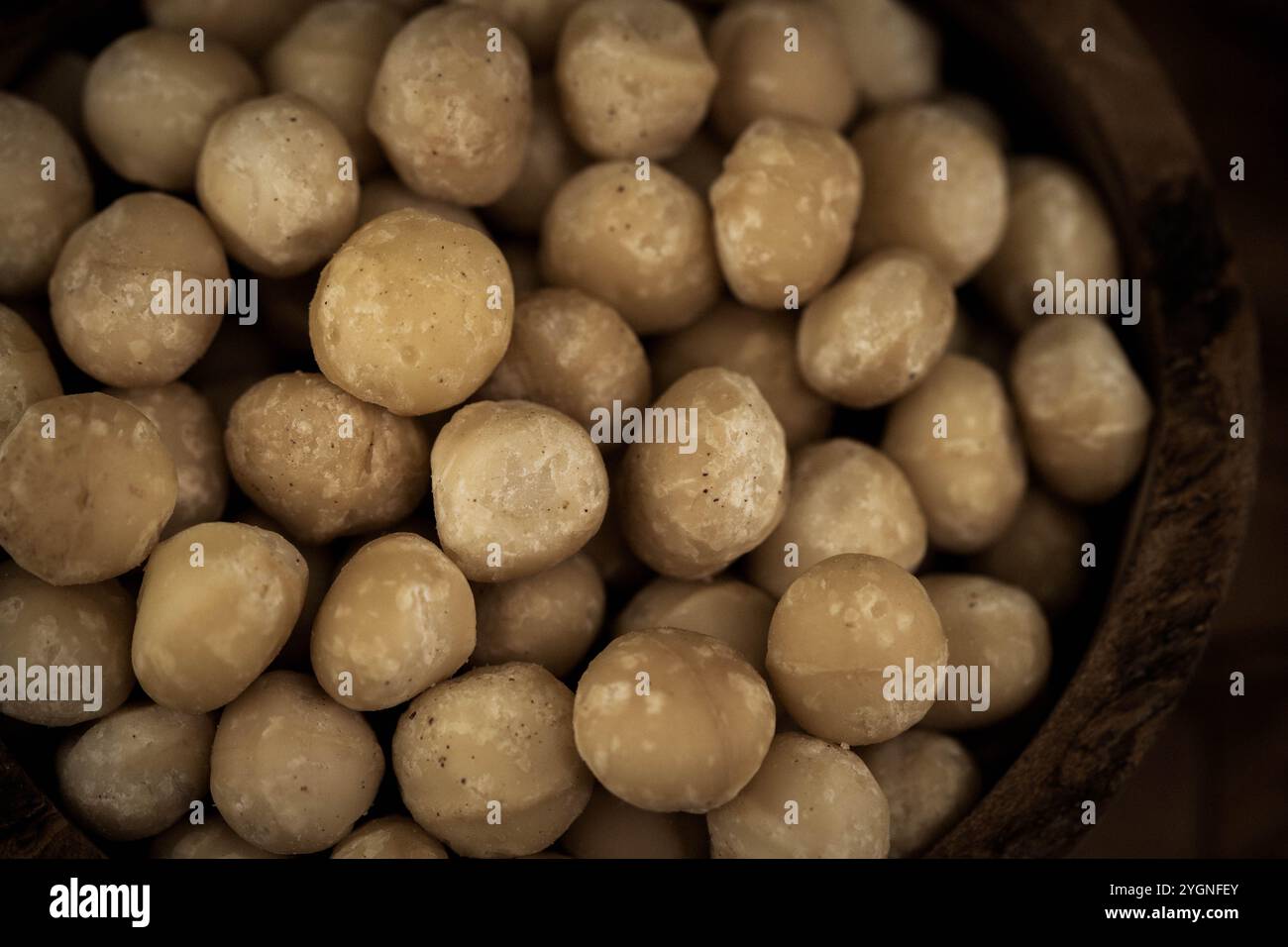 Macadamia nuts Macadamia tetraphylla on olive wood Stock Photo - Alamy