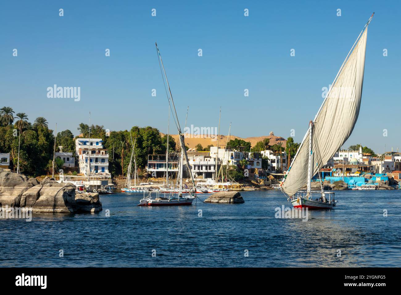 Feluccas (traditional egyptian sailing boats) on the Nile river in ...