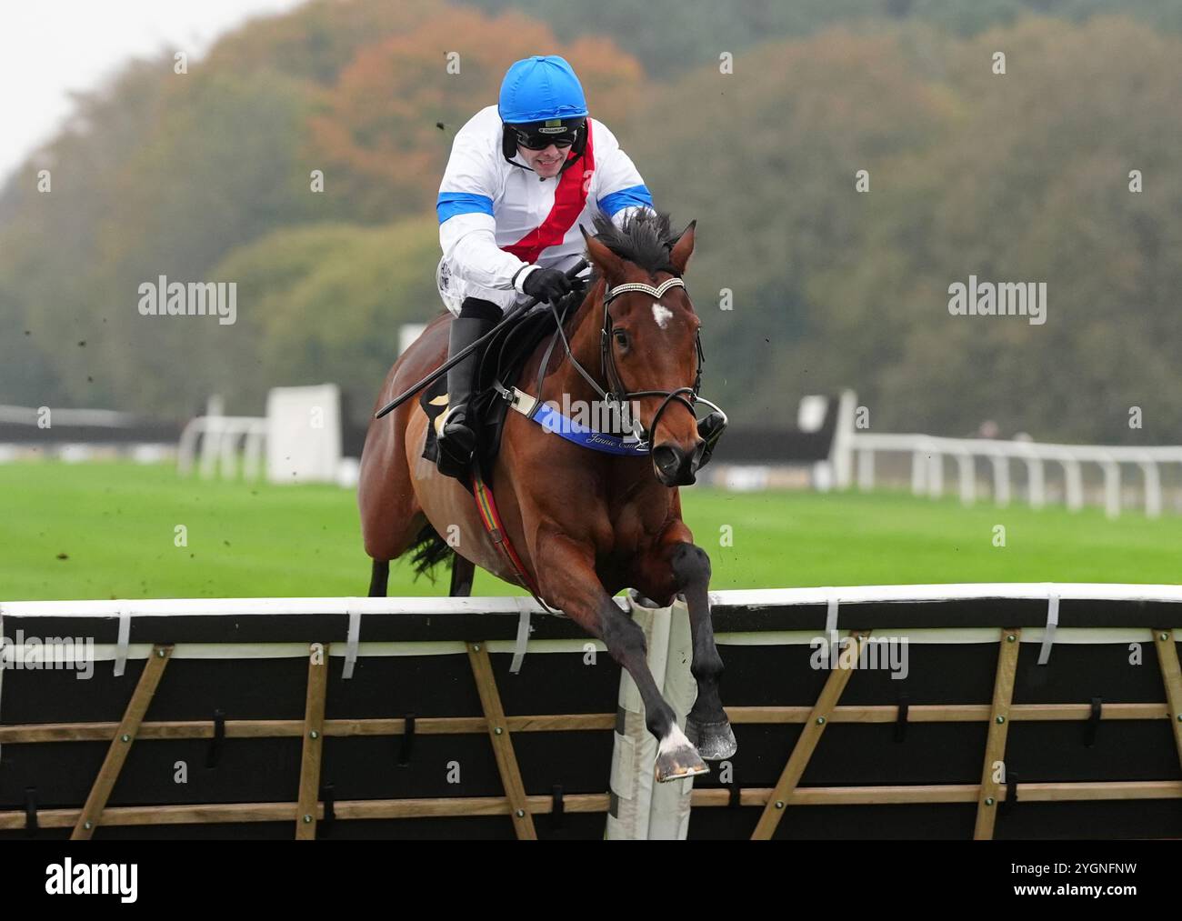 Skyjack Hijack ridden by Jonjo O'Neill Jr. clears the last before going ...