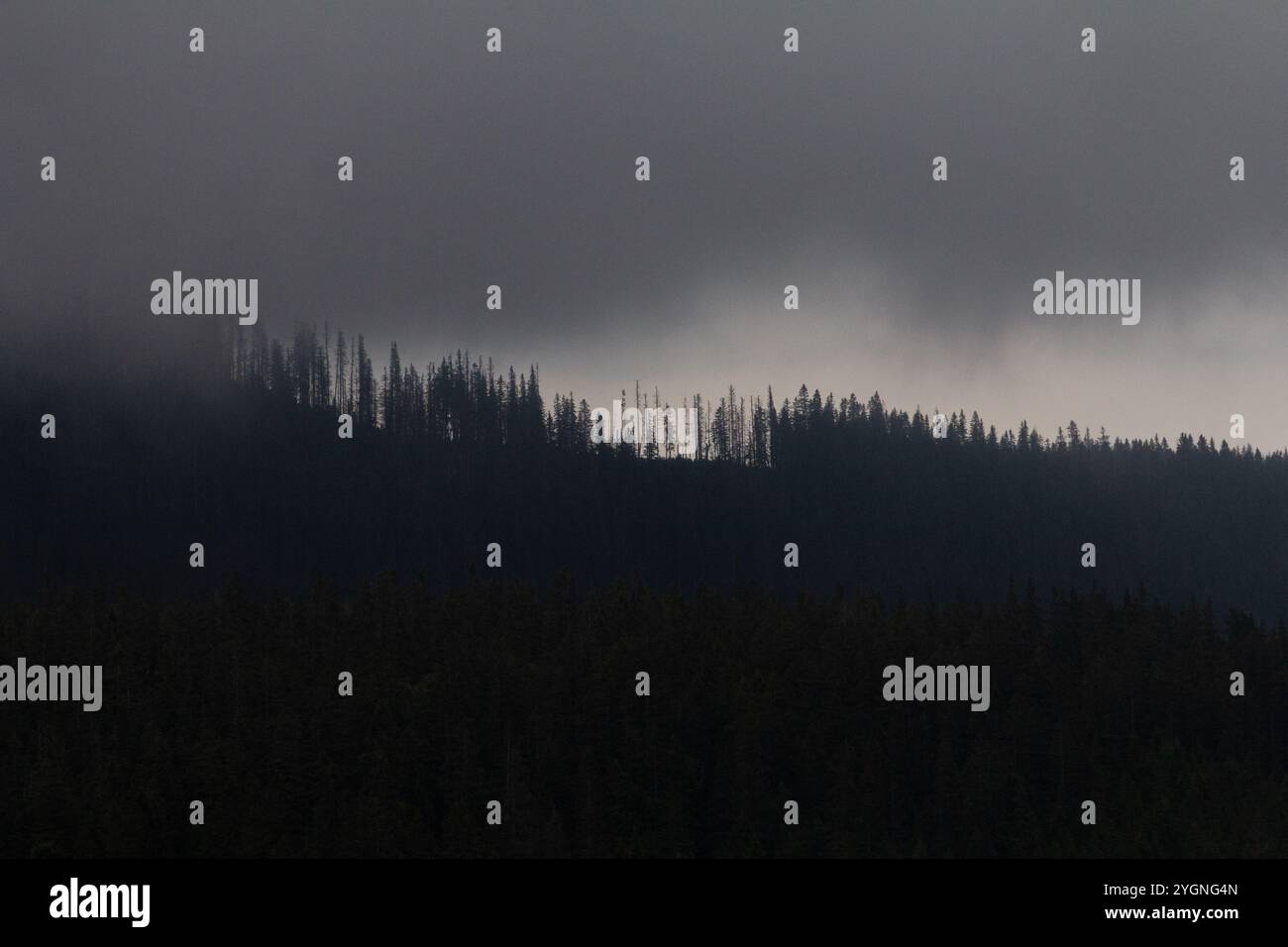 Gloom dark stormy morning sky hi-res stock photography and images - Alamy