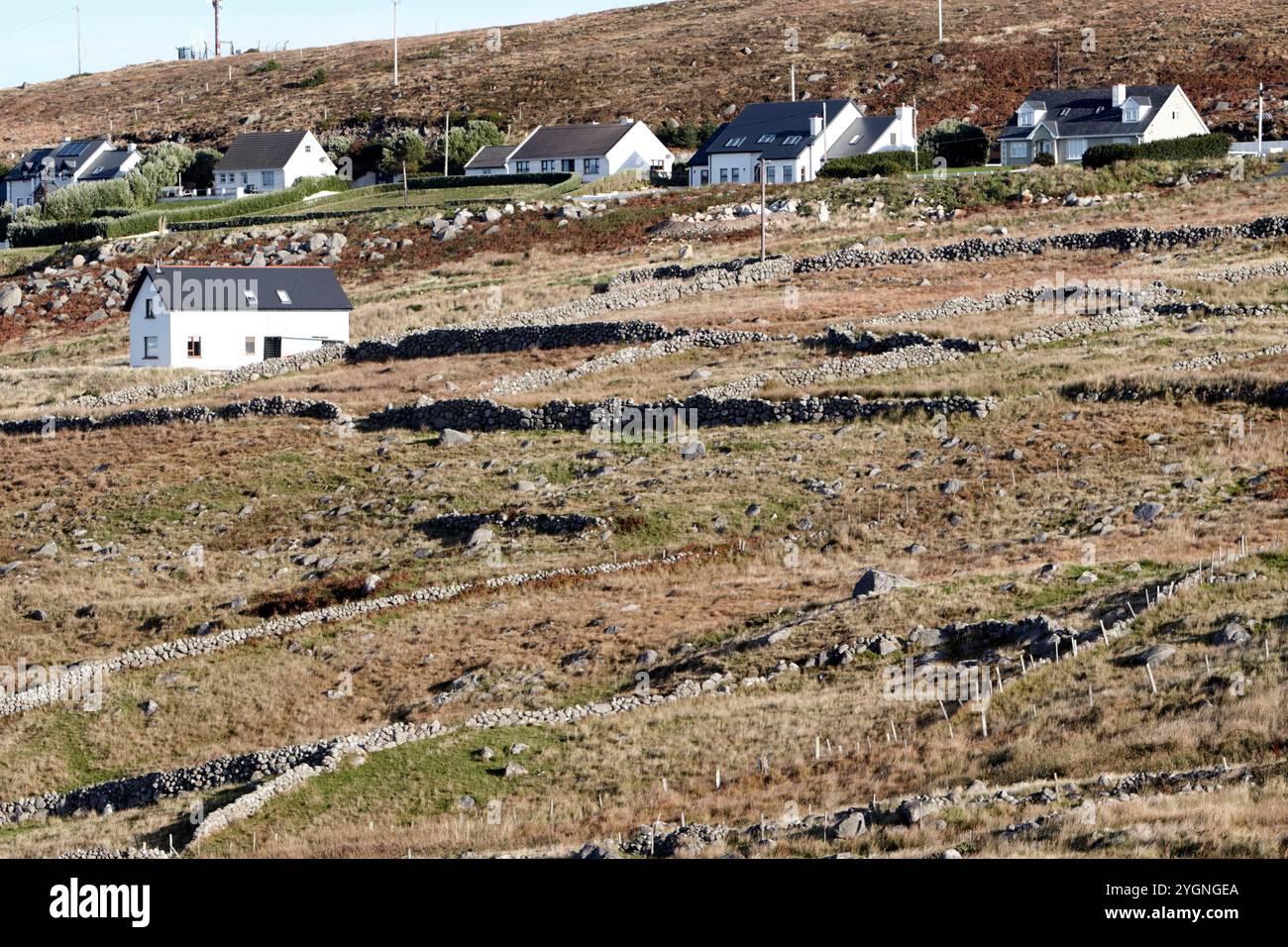 modern houses on the roadside beside autumn fields dry stone wall small ...