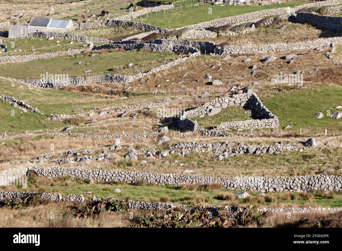 dry stone wall small field boundaries gweedore, county donegal ...