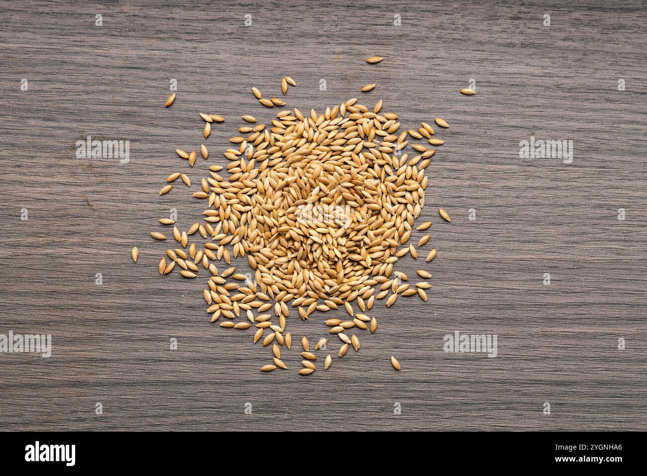 Pile of canary seed - Phalaris canariensis Stock Photo - Alamy