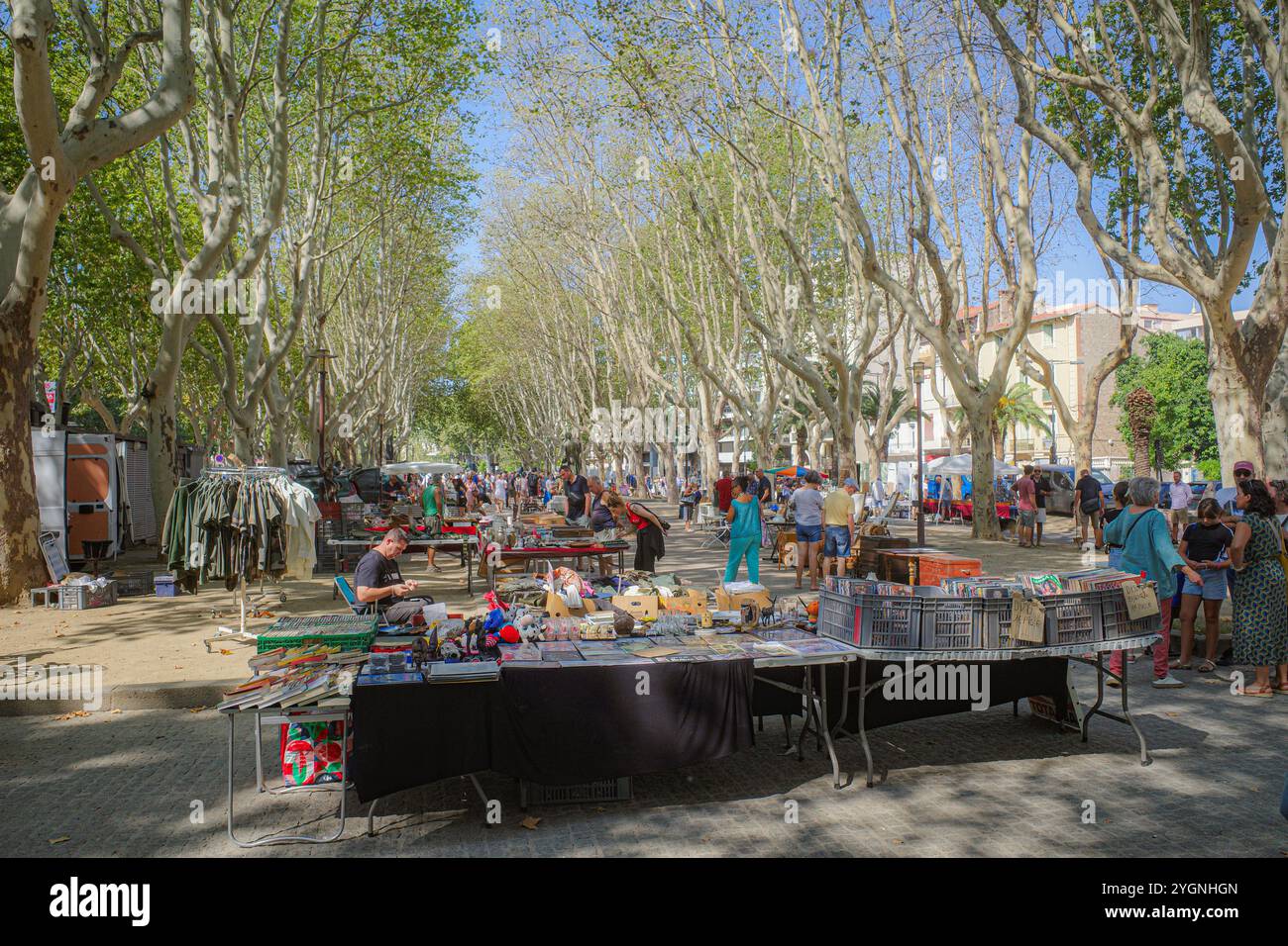 Perpignan, France - 24 Aug, 2024: Flea Market in the public park of ...