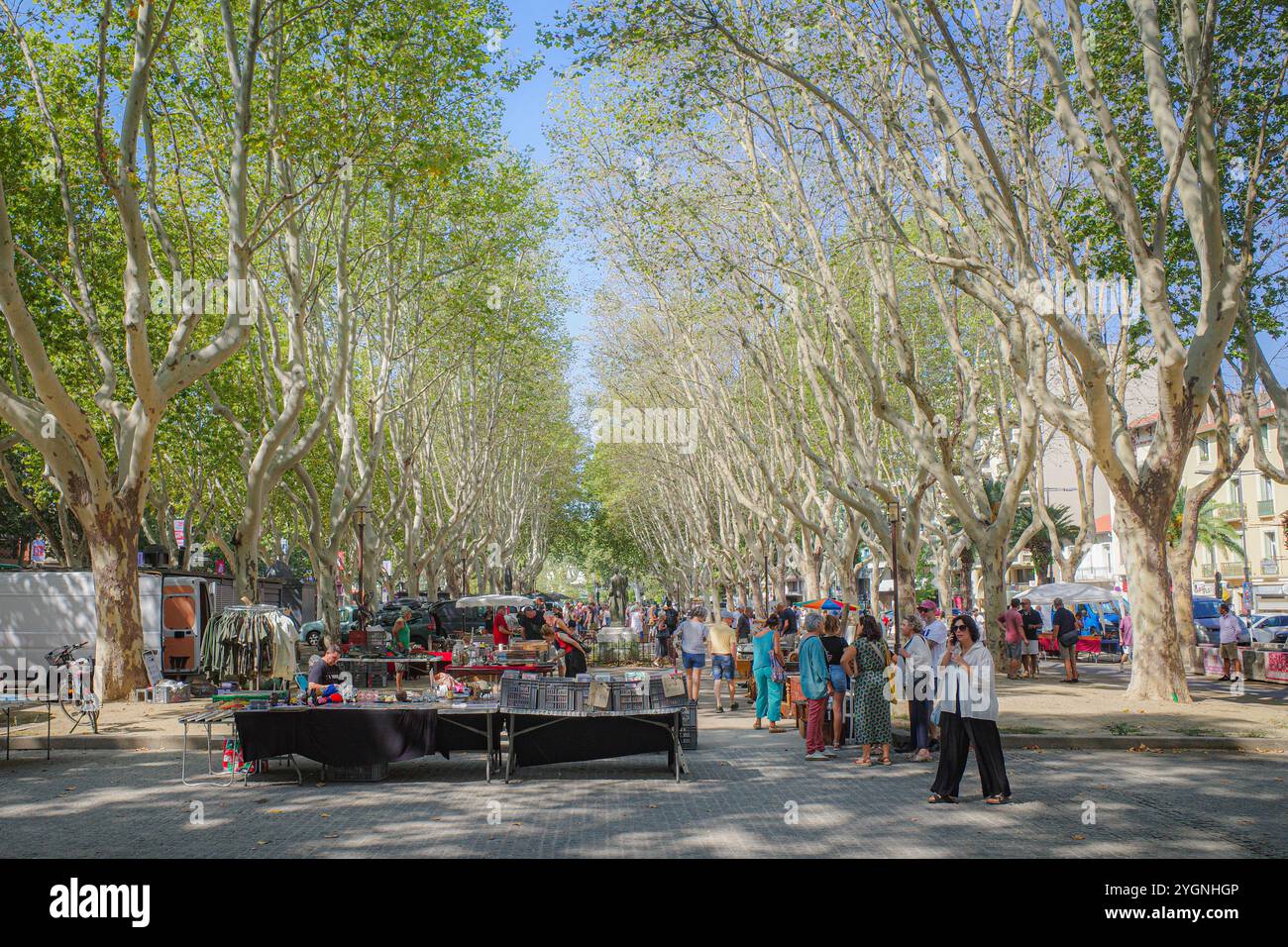 Square in old town perpignan hi-res stock photography and images - Alamy