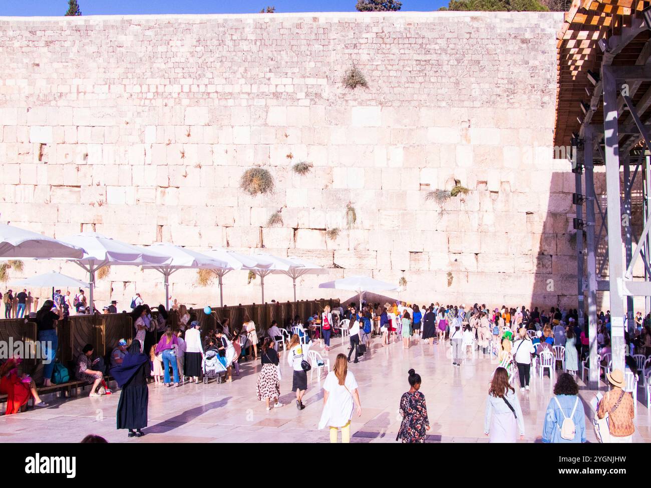 Western cultural traditions hi-res stock photography and images - Alamy