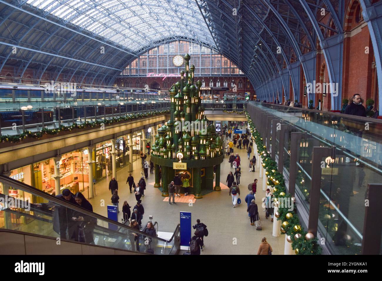 Wicked tree hi-res stock photography and images - Alamy