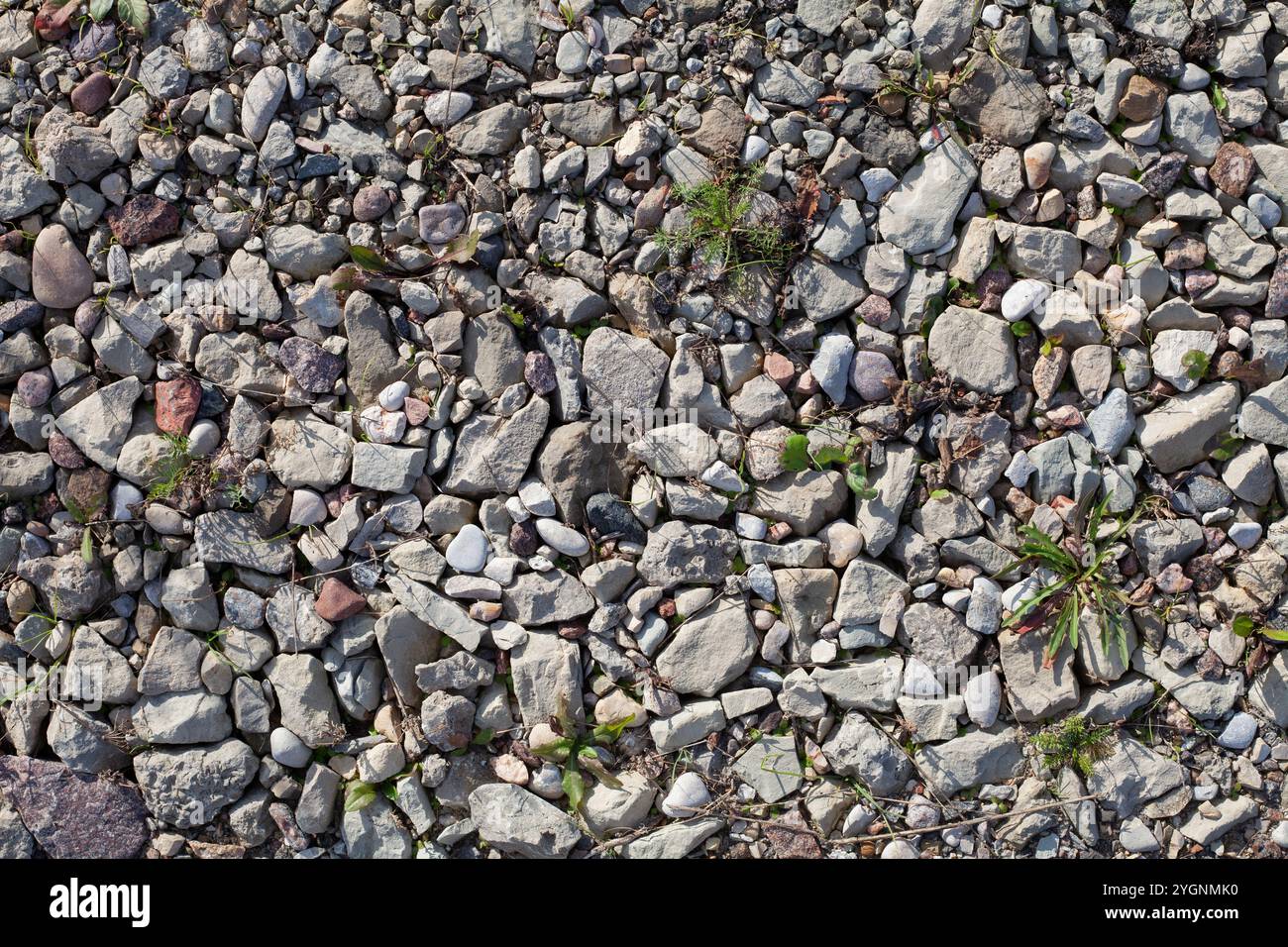 Gravel or small hi-res stock photography and images - Alamy