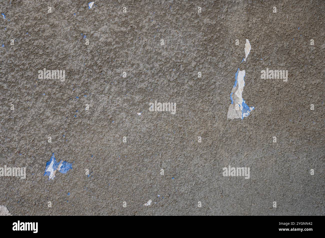 Texture of old and crumbling gray plaster revealing a layer of an even ...