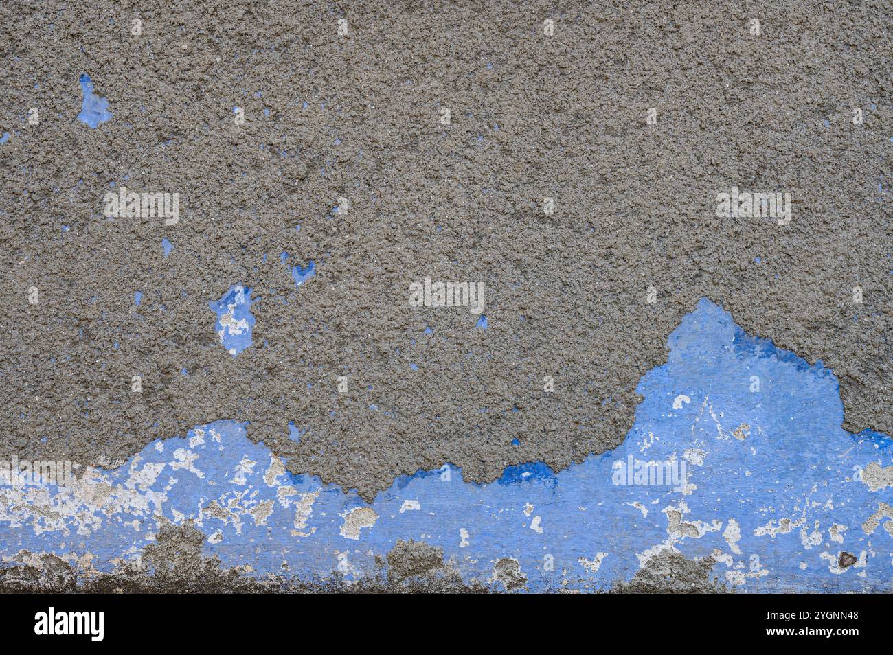 Texture of old and crumbling gray plaster revealing a layer of an even ...