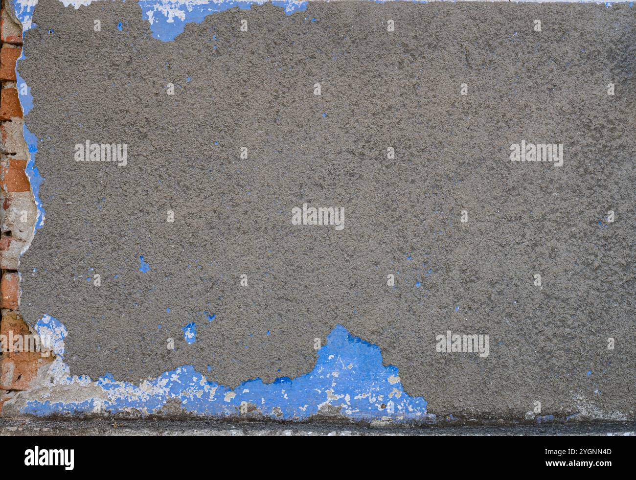 Texture of old and crumbling gray plaster revealing a layer of an even ...