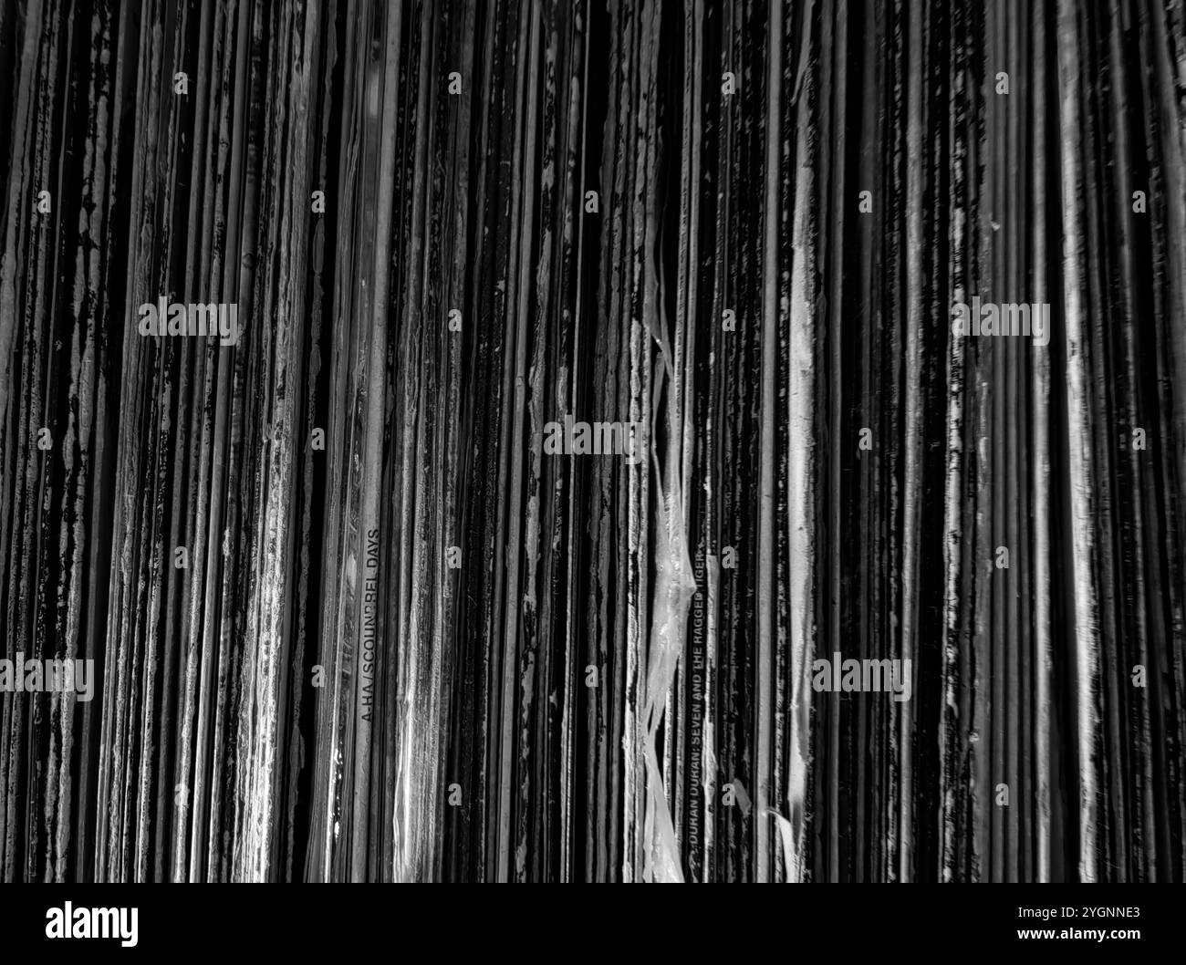 Vinyl Forest – A Journey Through Imagination. Records cover albums ...