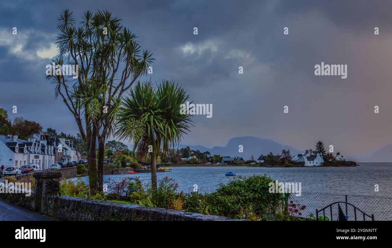 Palm trees plockton hi-res stock photography and images - Alamy