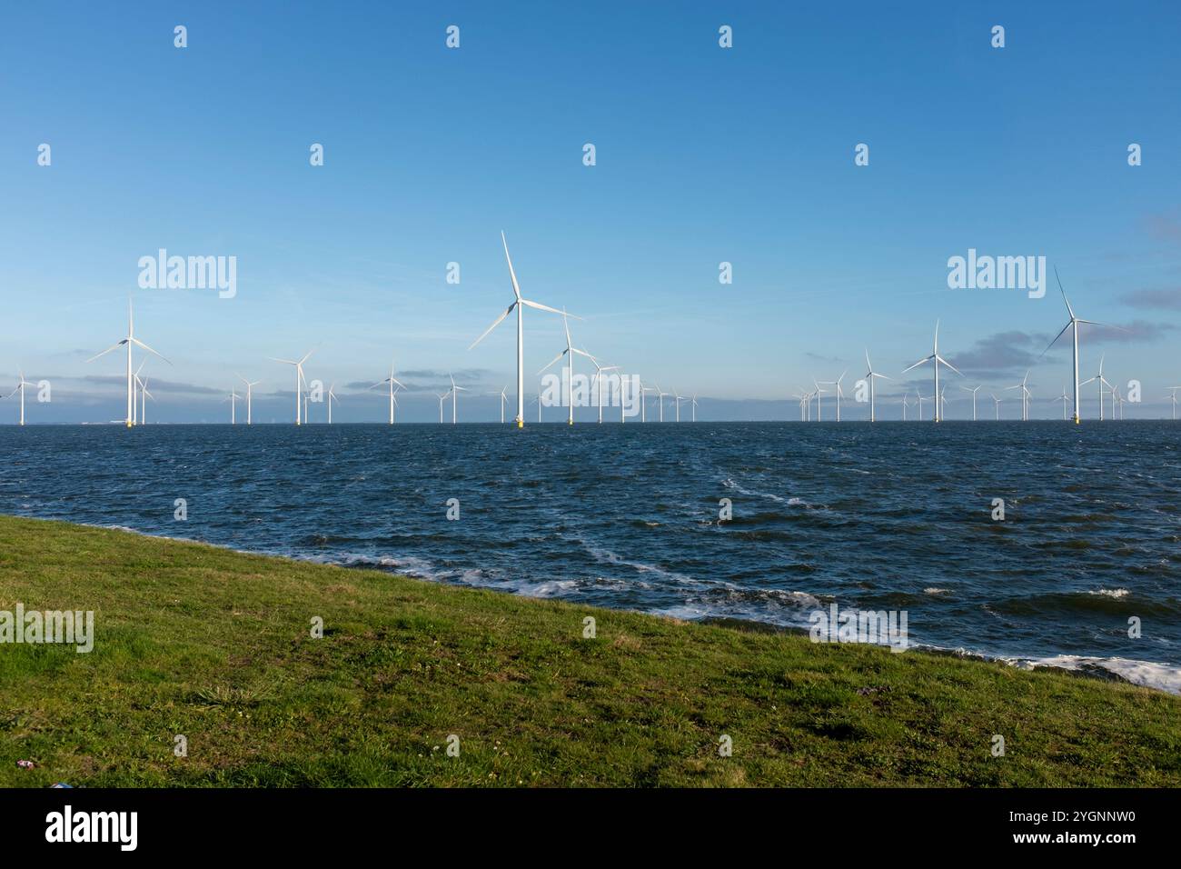 View of wind turbines at the offshore wind farm at Windpark Fryslân, in ...
