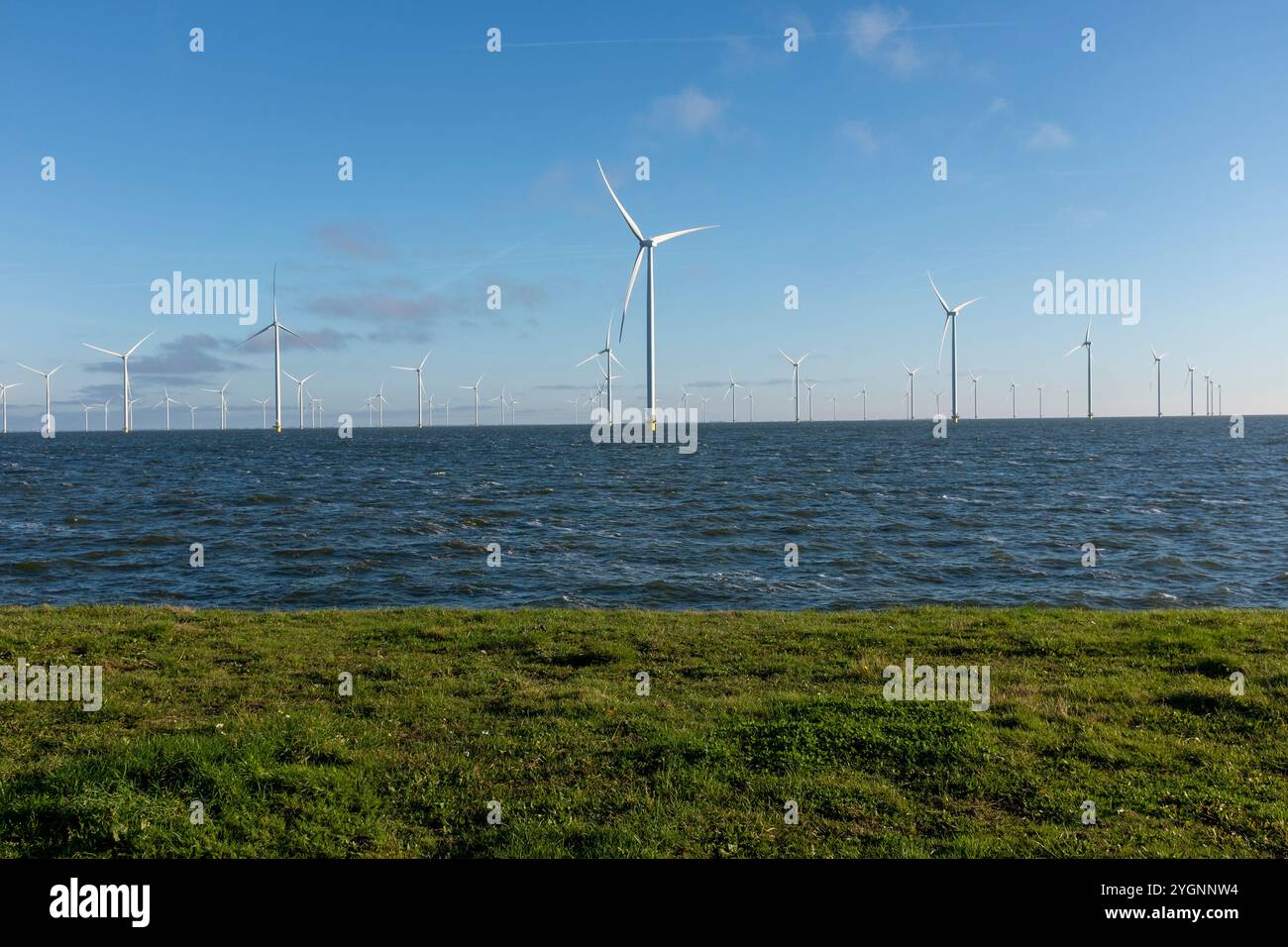 View of wind turbines at the offshore wind farm at Windpark Fryslân, in ...