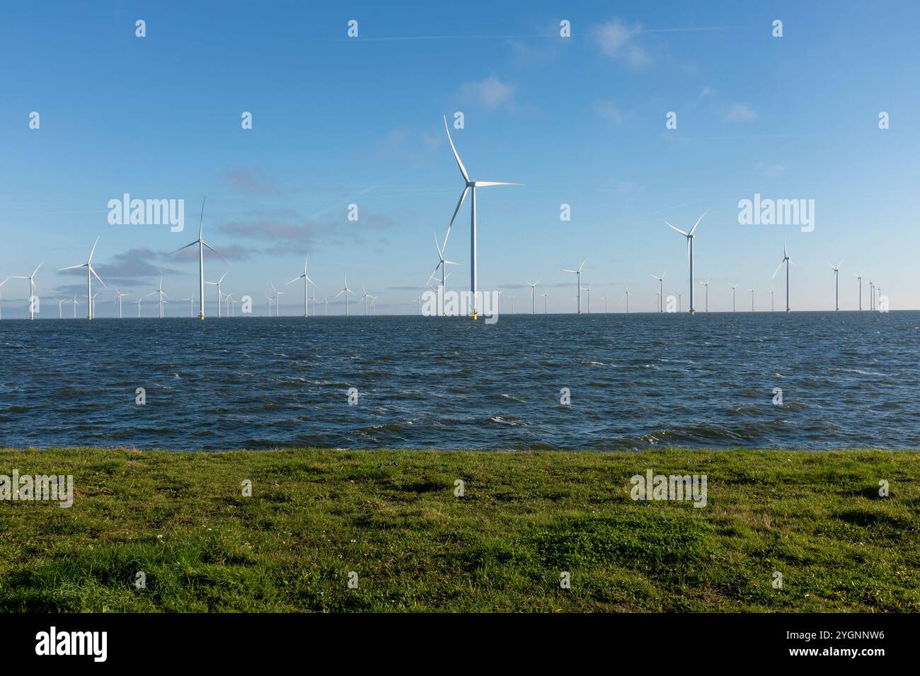 View of wind turbines at the offshore wind farm at Windpark Fryslân, in ...