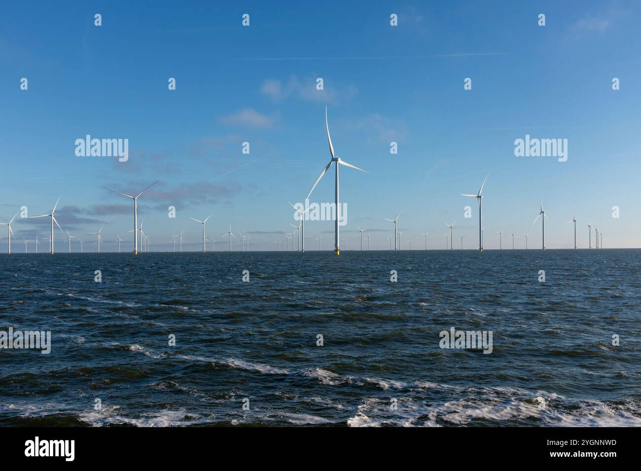 View of wind turbines at the offshore wind farm at Windpark Fryslân, in ...