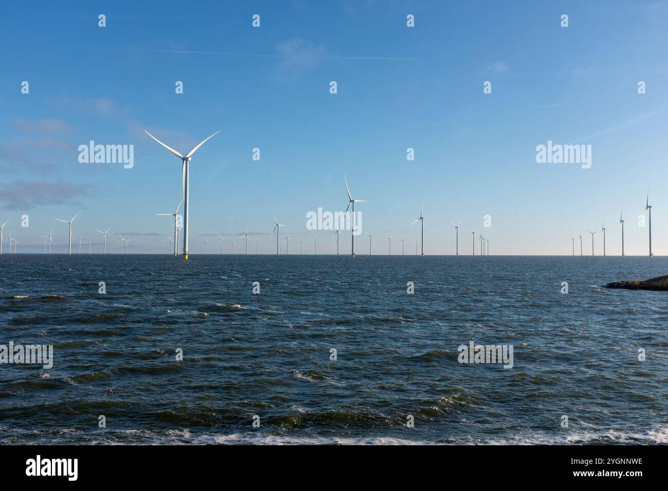 View of wind turbines at the offshore wind farm at Windpark Fryslân, in ...