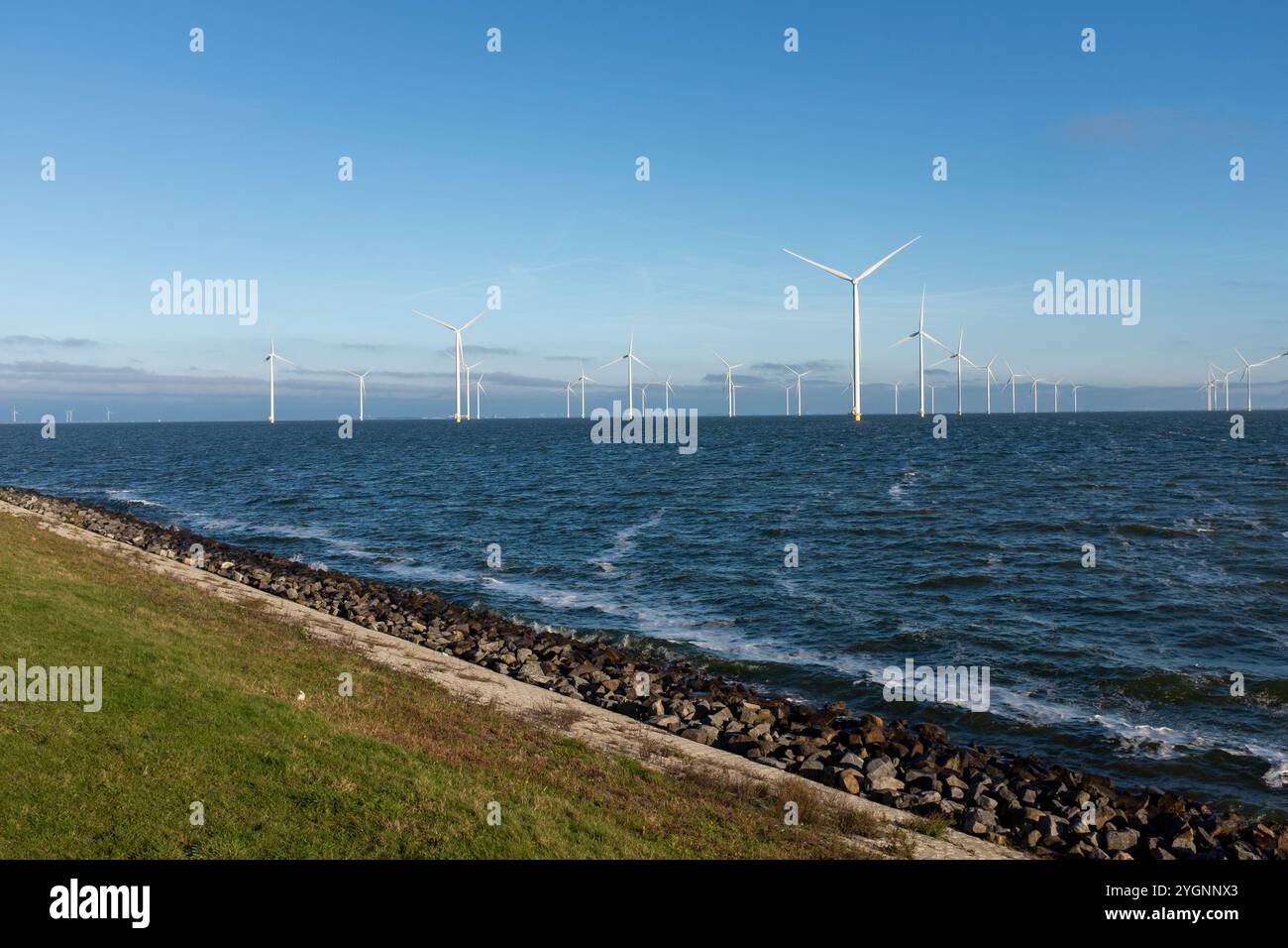 View of wind turbines at the offshore wind farm at Windpark Fryslân, in ...