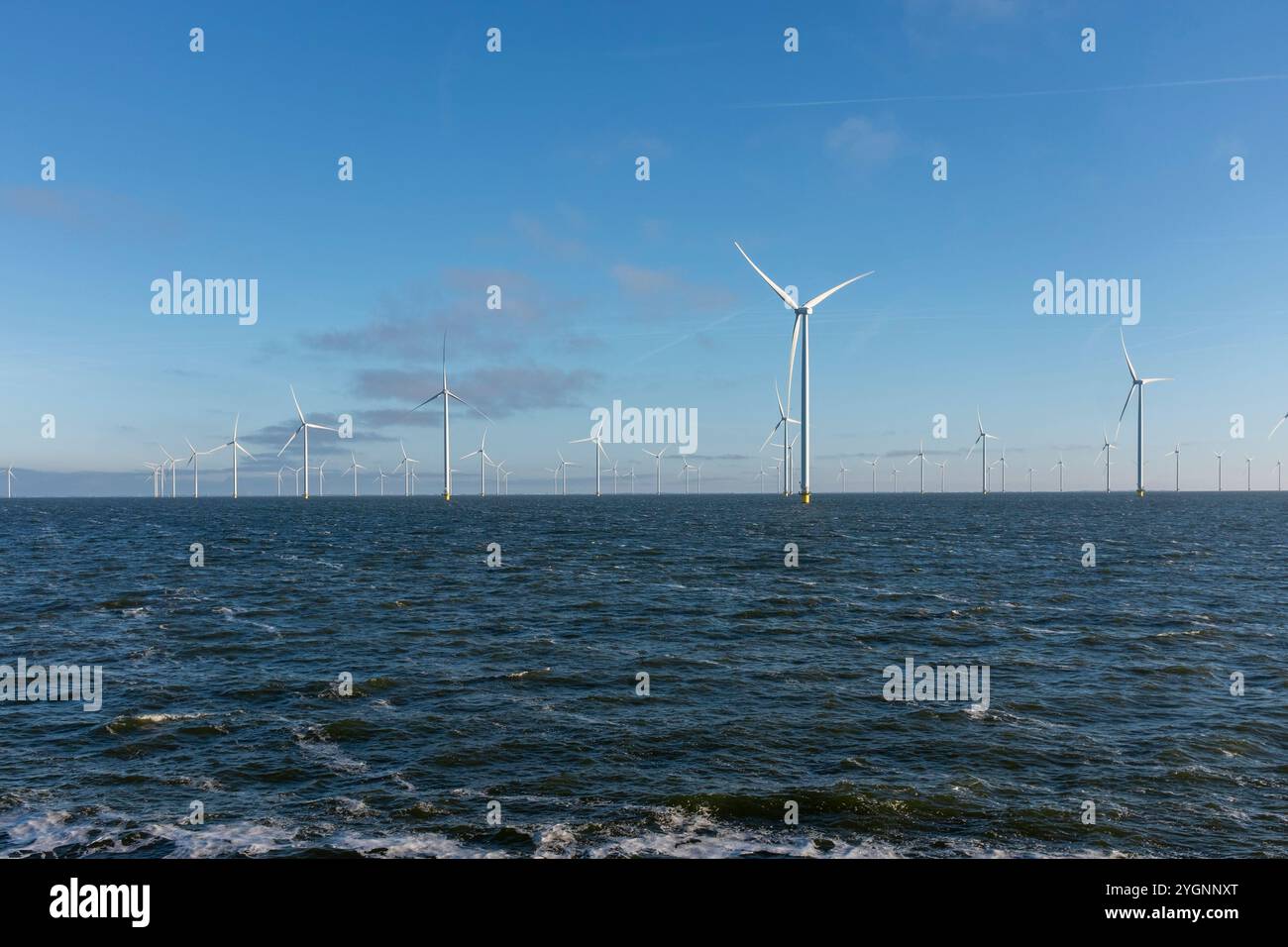 View of wind turbines at the offshore wind farm at Windpark Fryslân, in ...