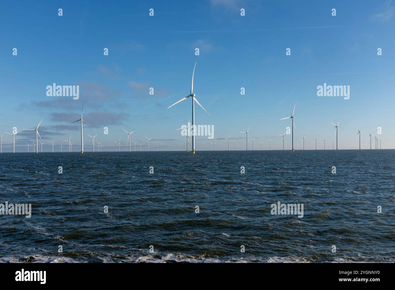 View of wind turbines at the offshore wind farm at Windpark Fryslân, in ...