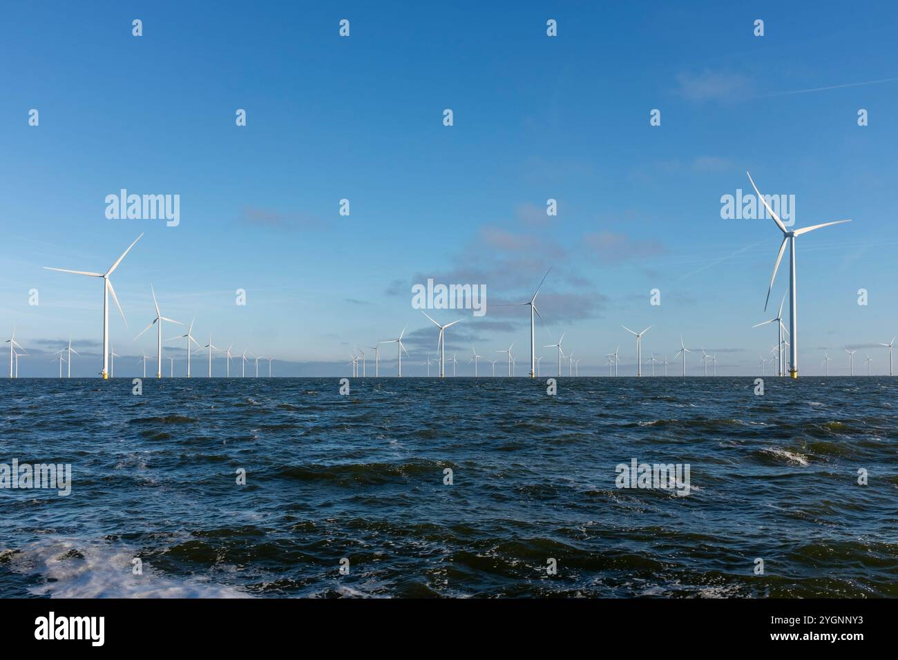 View of wind turbines at the offshore wind farm at Windpark Fryslân, in ...