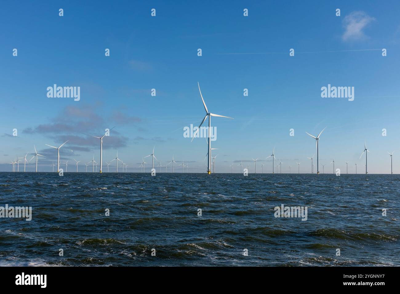 View of wind turbines at the offshore wind farm at Windpark Fryslân, in ...