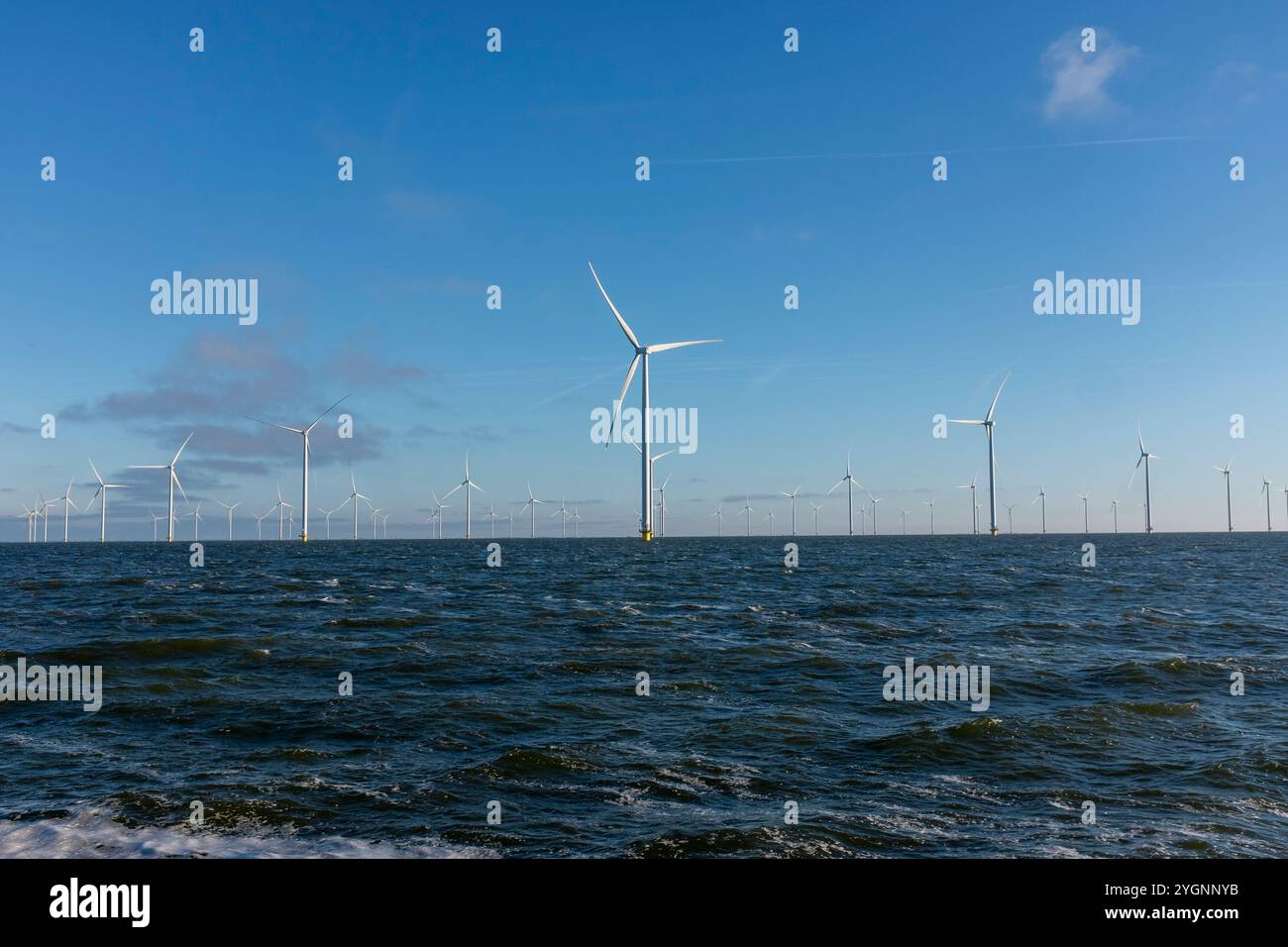 View of wind turbines at the offshore wind farm at Windpark Fryslân, in ...