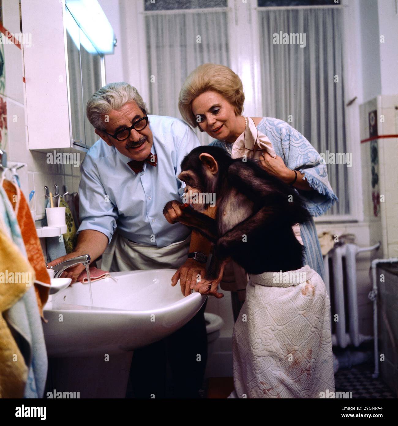 Show affe hi-res stock photography and images - Alamy