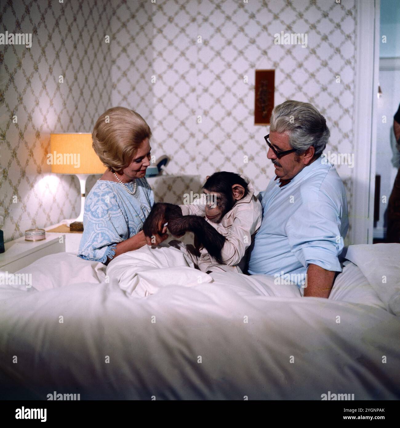 Show affe hi-res stock photography and images - Alamy