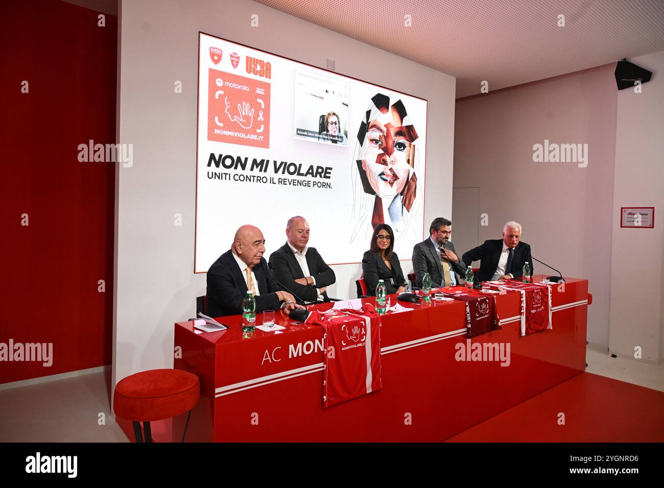 Pirola rosa hi-res stock photography and images - Alamy