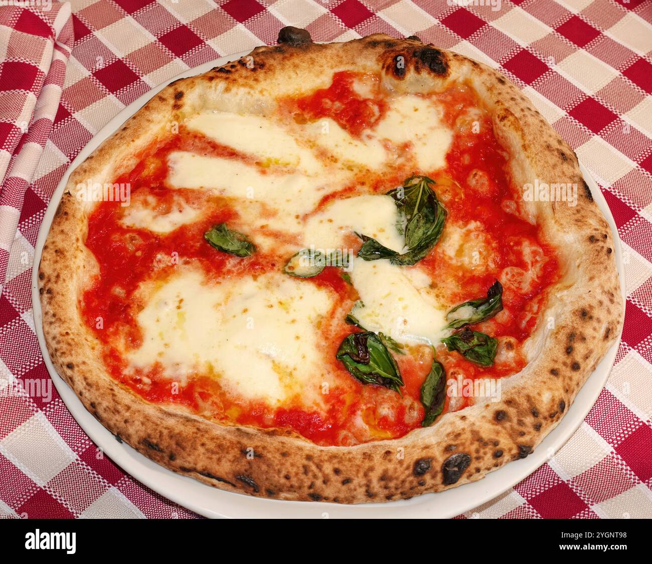 Close up of a neapolitan pizza featuring melted buffalo mozzarella ...
