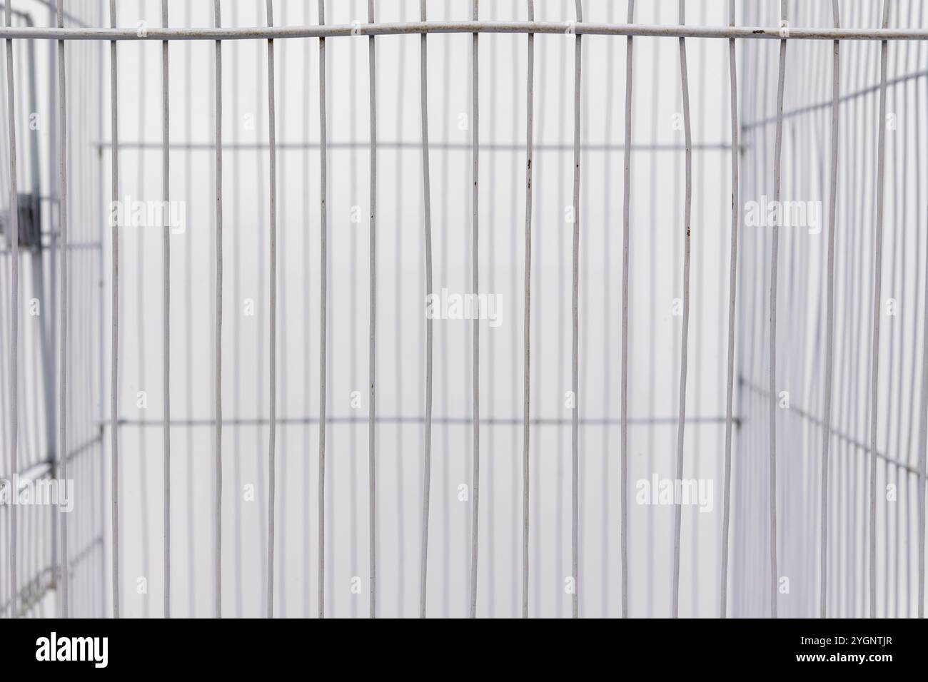 Metal Bird Cage Bars with Blurred Background Stock Photo - Alamy