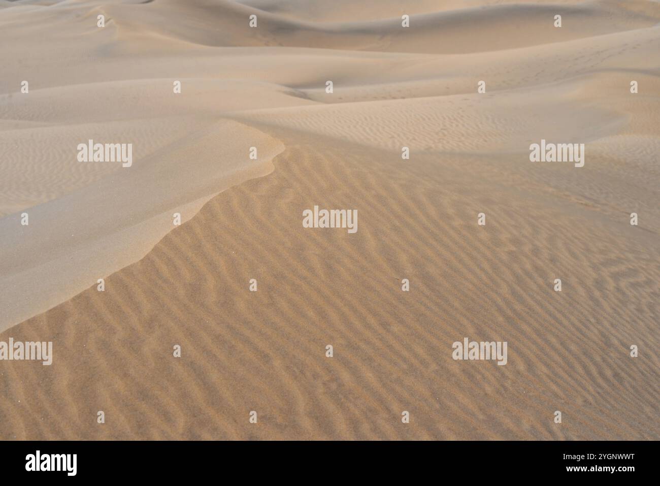 Sand textured pattern with copy space. Abstract background wallpaper ...