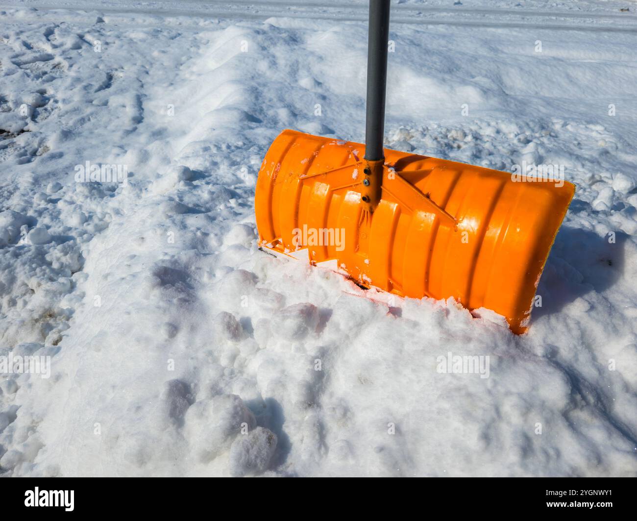 orange snow shovel sticking out from snowdrift at sunny winter morning ...