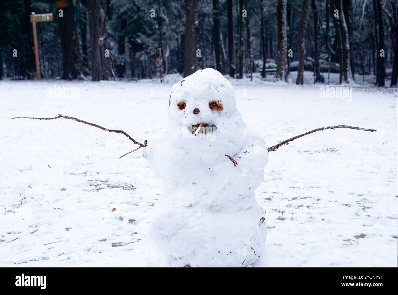 Snowman made of snow and smoking Stock Photo - Alamy