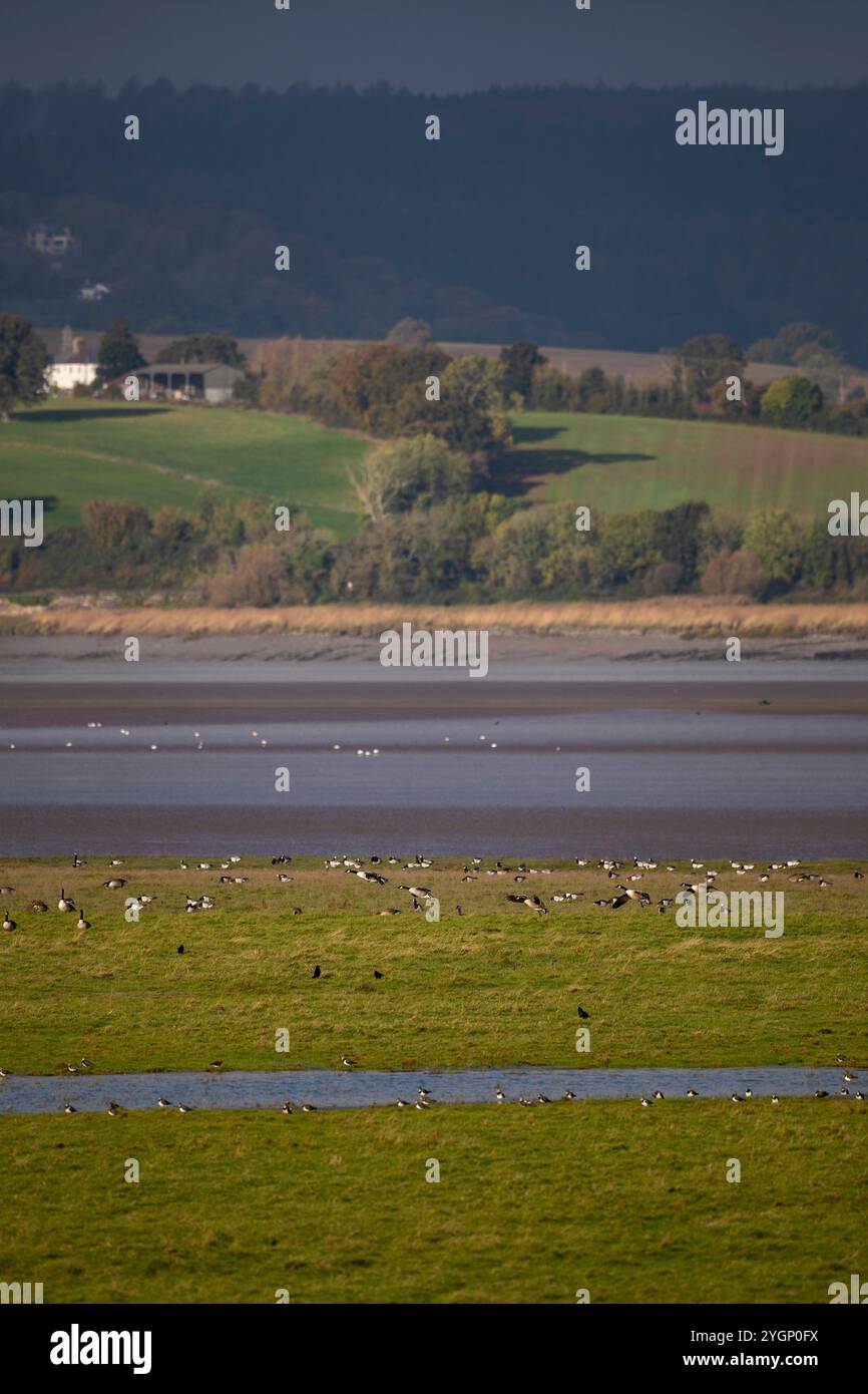 The River Severn, Gloucestershire. UK Stock Photo - Alamy