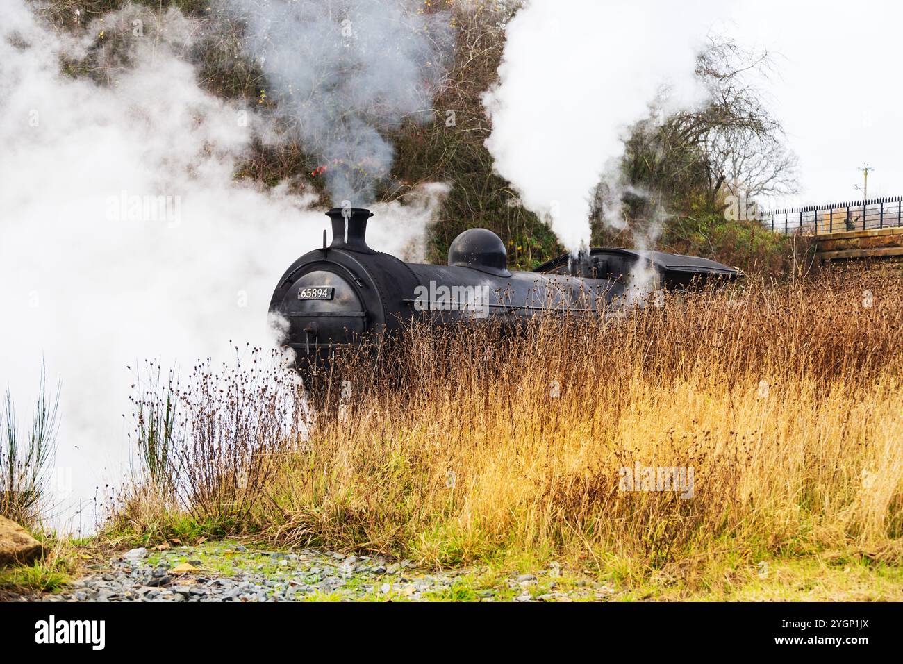 North Yorkshire Moors Railway, NYMR, Moorlander, P3 65894 letting off ...