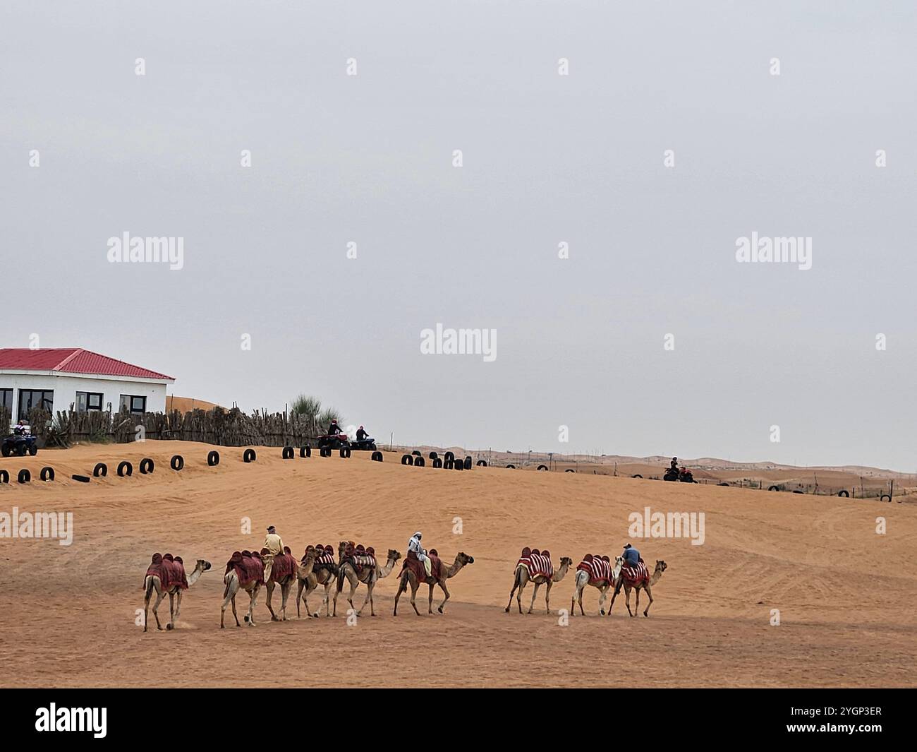 Tour guide uae hi-res stock photography and images - Alamy