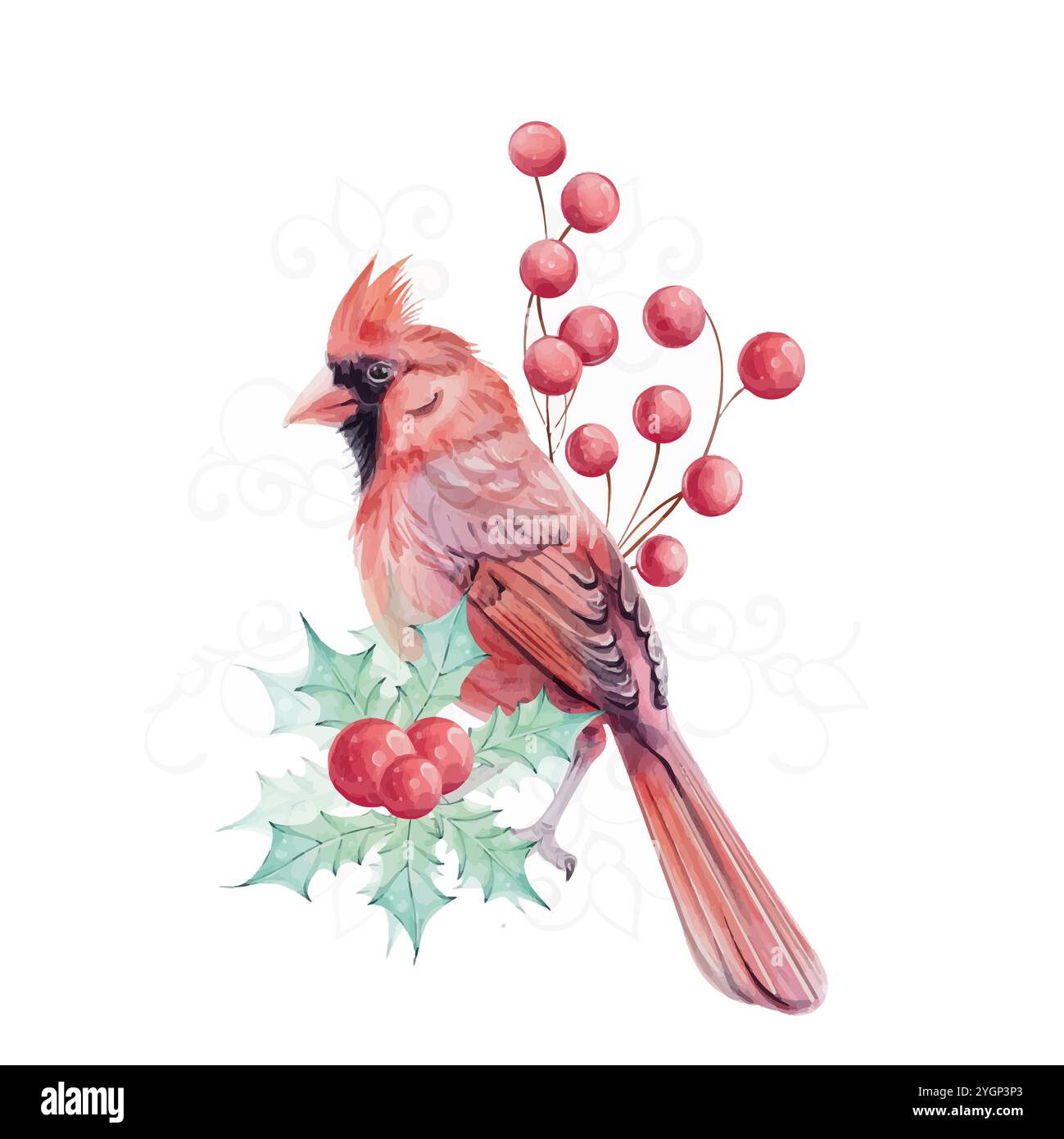 Watercolor Christmas bird red cardinal, with brunch, red berrie bouquet ...