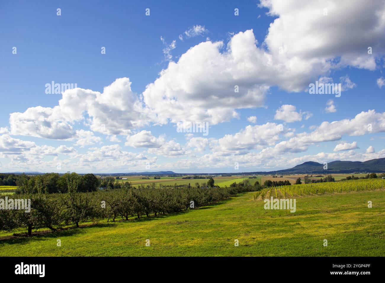 Scenic Countryside Landscape with Blue Sky and Rolling Fields Stock ...