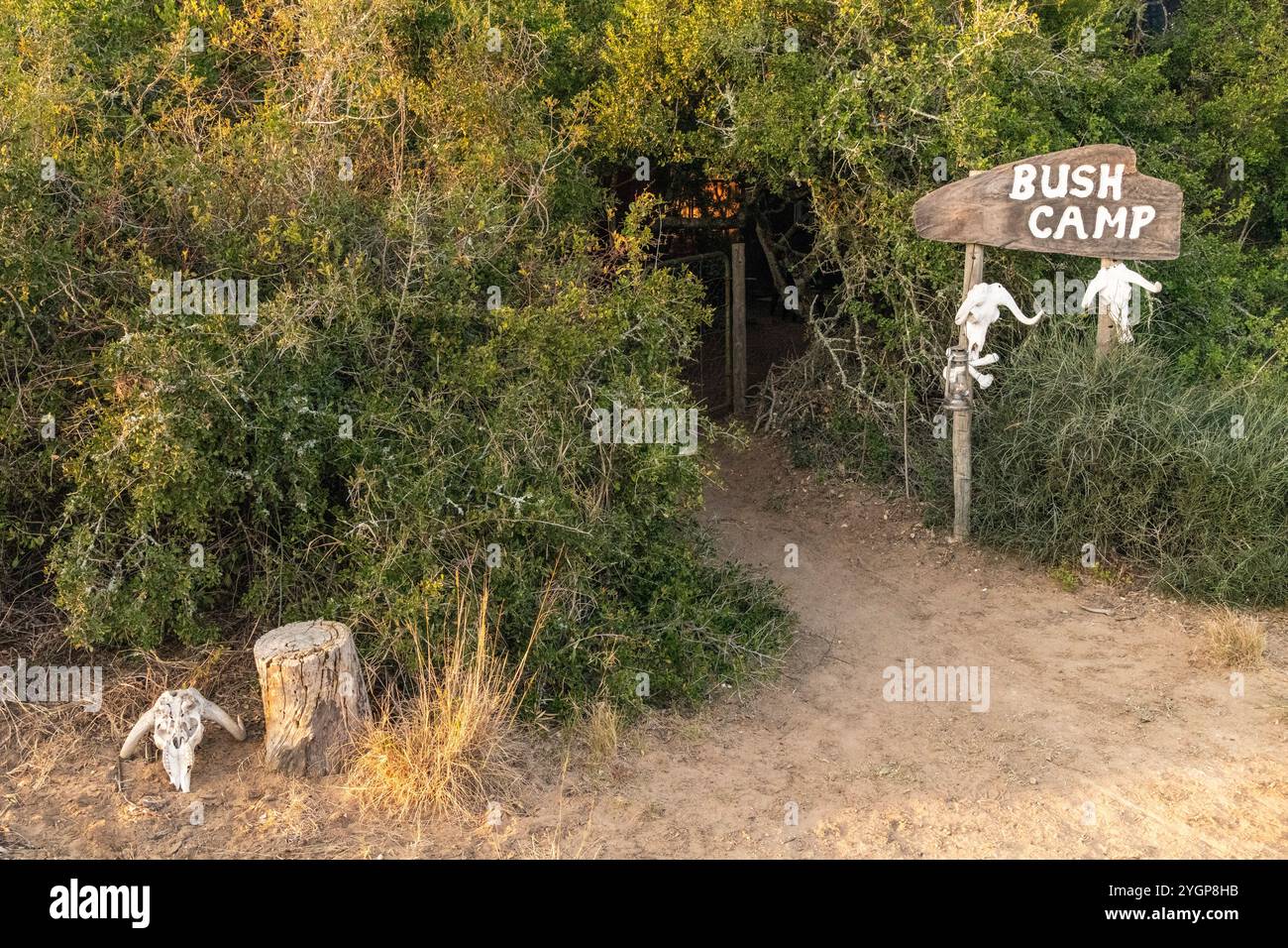 The hidden entrance to a bush camp campsite at Schotia Game Reserve ...