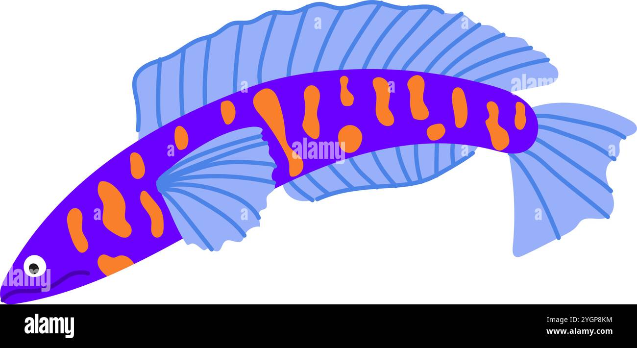 betta exotic fish cartoon vector illustration Stock Vector Image & Art ...