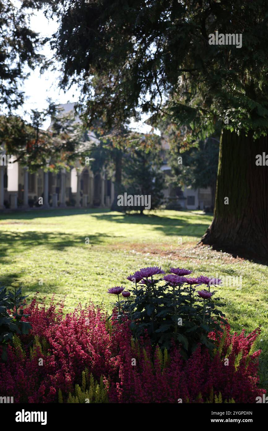 Lila rig hi-res stock photography and images - Alamy