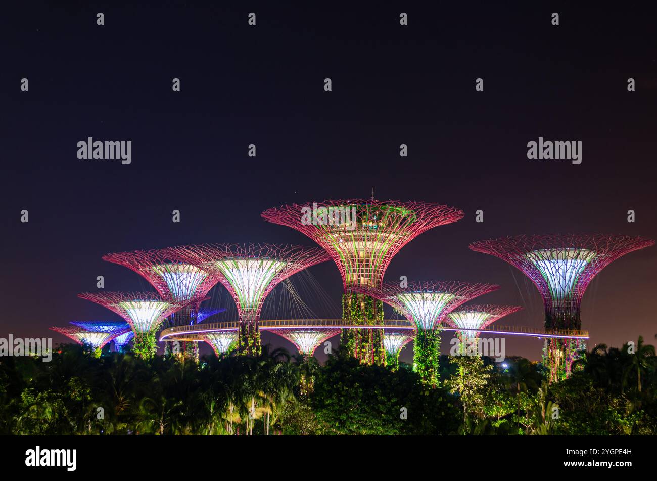 Supertree Grove trees in the Gardens by the Bay Stock Photo - Alamy