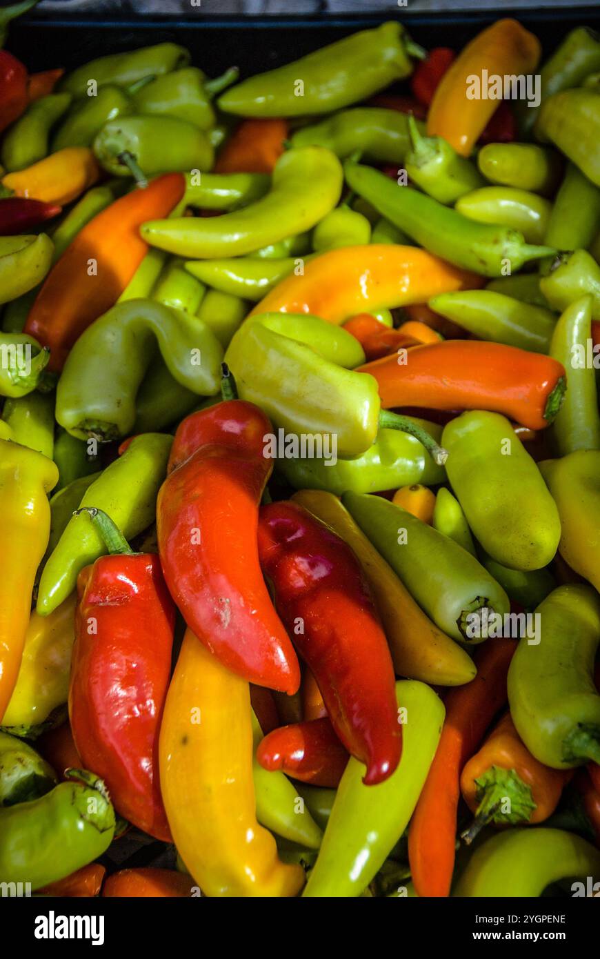 Chili pepper assortment hi-res stock photography and images - Alamy